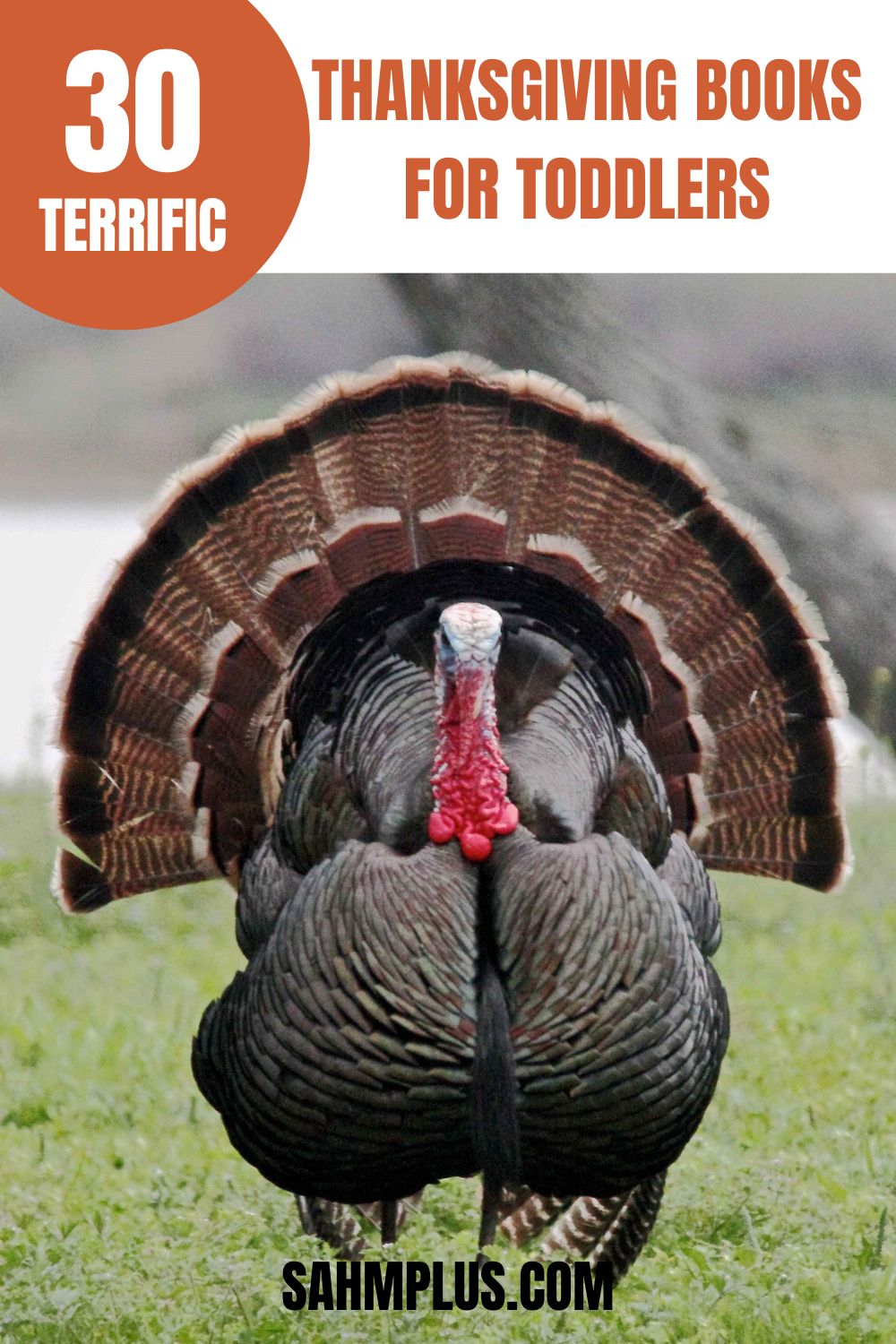 Thanksgiving Board Books | 30 Best Thanksgiving Board Books for ...